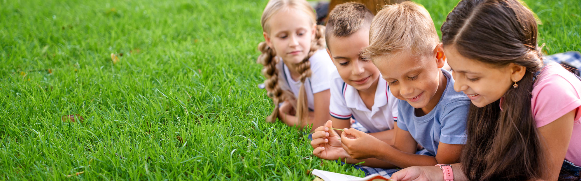 Proiecte educationale - Harta Reciclarii